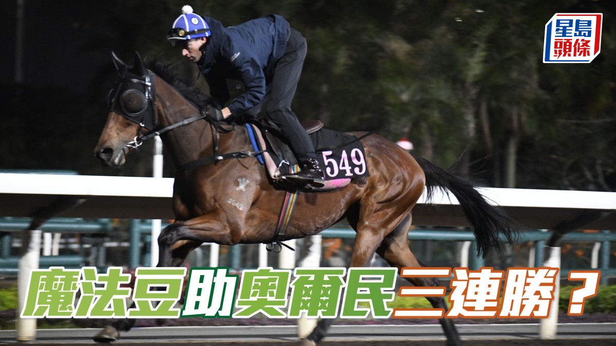 沙田晨曦：「魔法豆」阿民首次成功破解秘密。 - PressMega