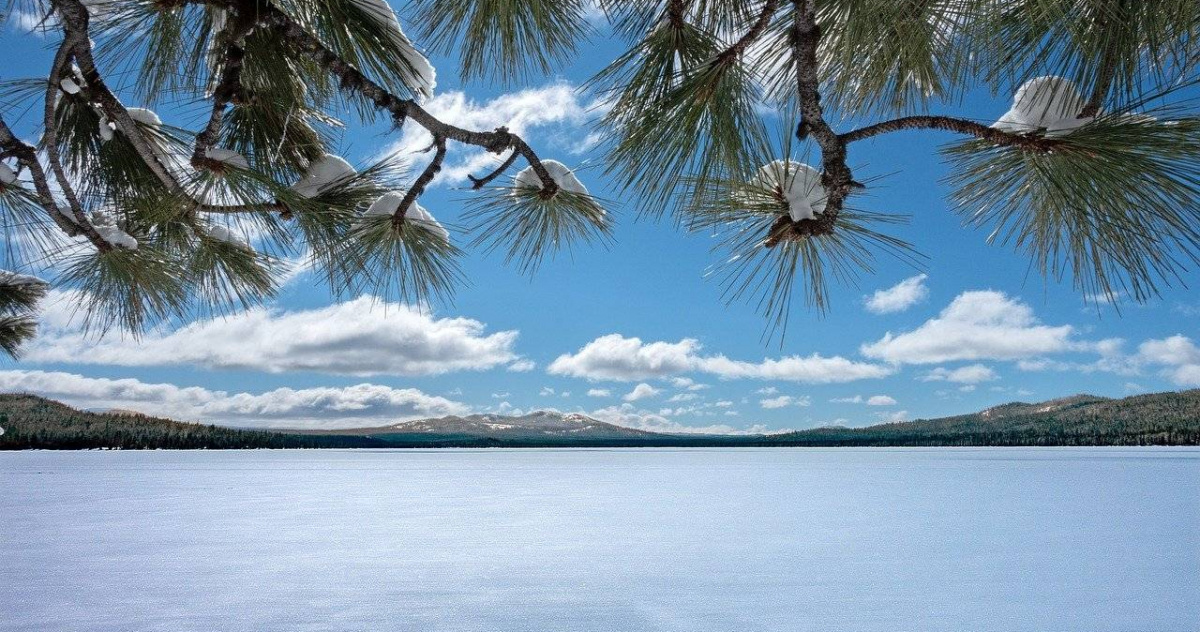 12生肖周運勢排行榜：屬馬者貴人相助，屬龍者運勢平穩。 - PressMega