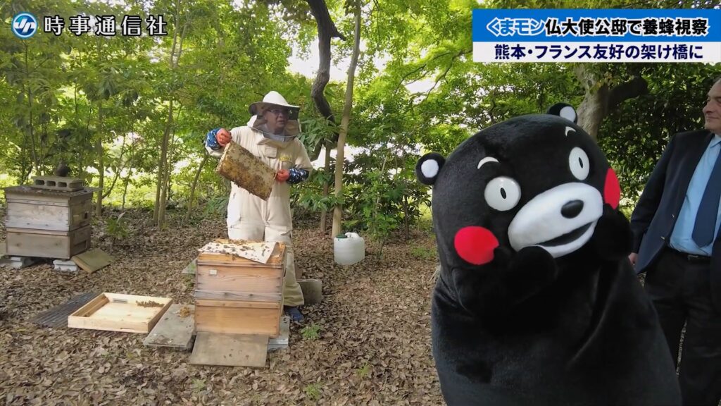 【景點】日本三大櫻2000年樹齡「神代櫻」地面高空多角度欣賞【影片】 - PressMega